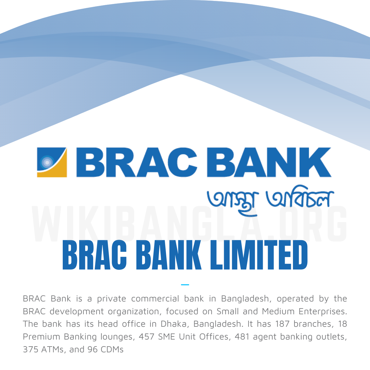 Success Story of BRAC Bank Limited: A Pioneer in Bangladesh